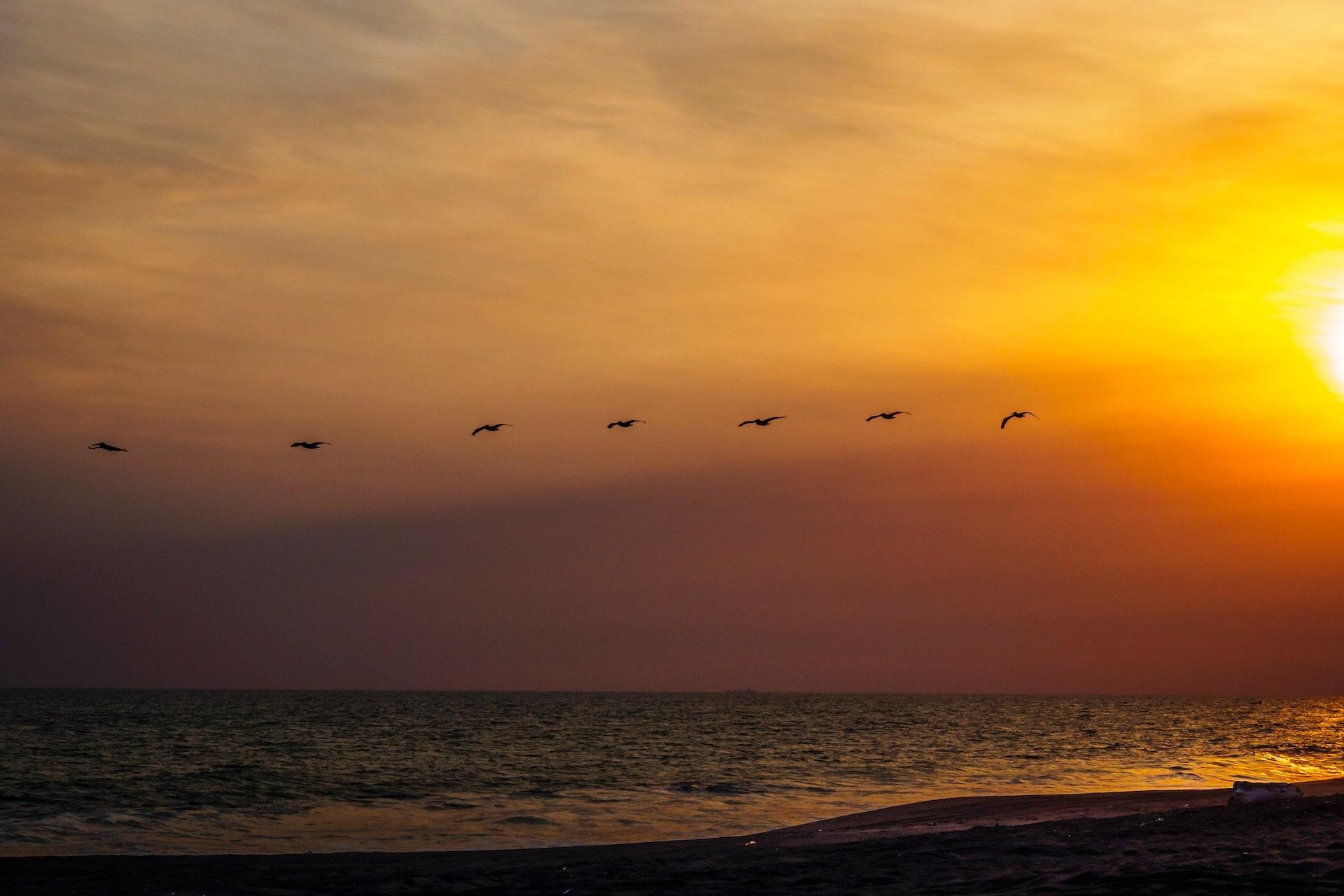 160 Best Good Evening Messages Guaranteed to Put a Smile at Sunset